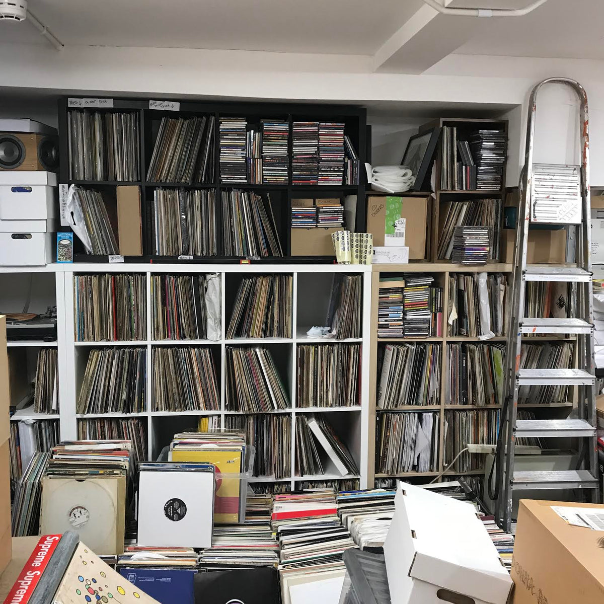 We're Back! – Reckless Records London